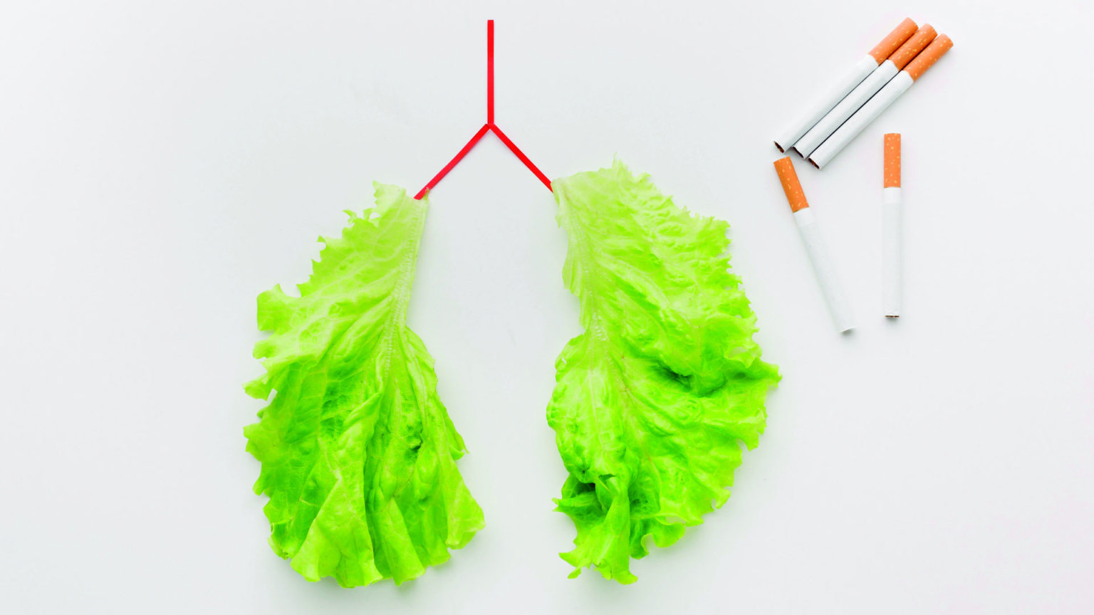 ¿Qué Es La Inhaloterapia Y Como Puede Ayudar Para El Tratamiento De ...