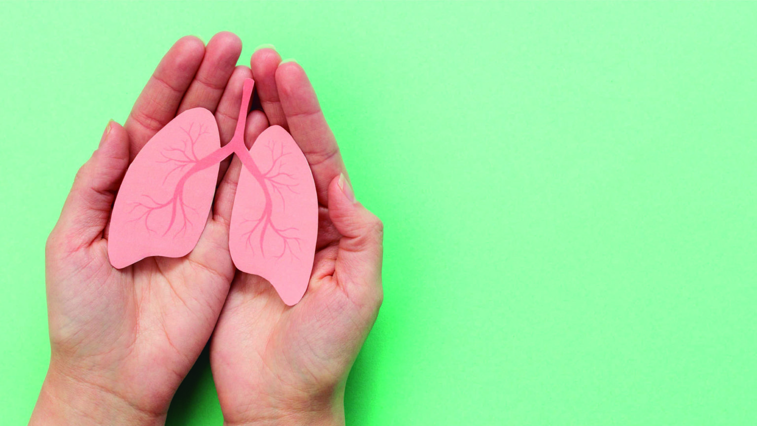 ¿Qué Es La Inhaloterapia Y Como Puede Ayudar Para El Tratamiento De ...